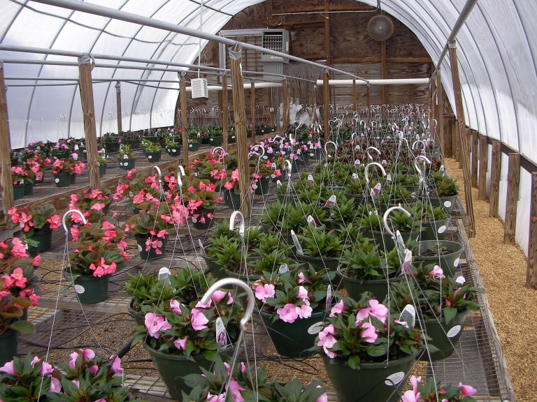 Hope Grows More Than Plants - Palmer Home for Children