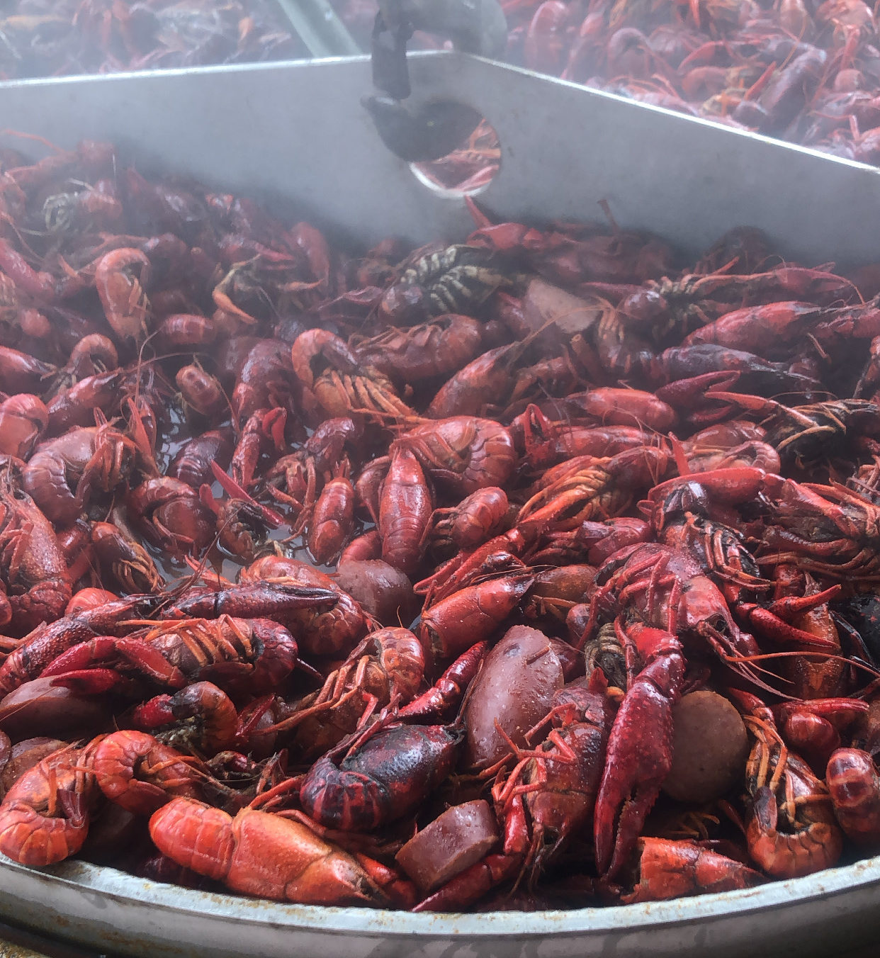 Sky Lake Construction Helps Palmer Home Raise More than $100k at Mudbug ...